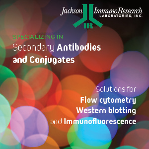 Newsletter: FLISA vs Fluorescent ELISA – FluoroFinder