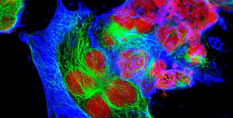 FluoroFinder Experiment Design Platform