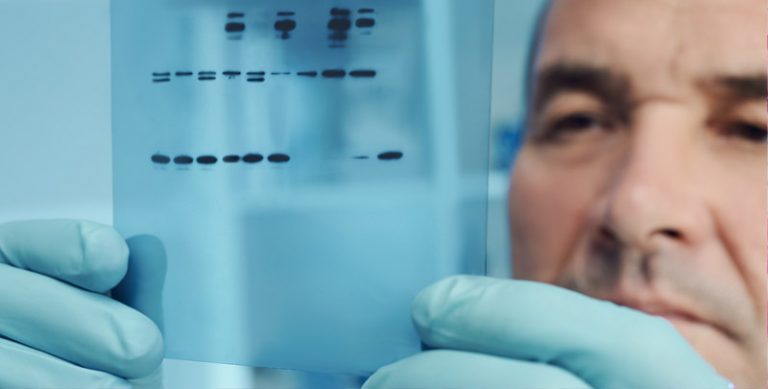 FluoroFinder Experiment Design Platform