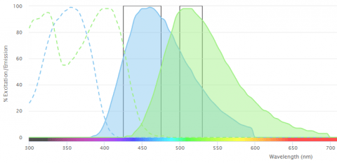 Introduction to Spectral Overlap and Compensation in Flow Cytometry ...