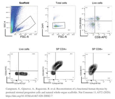 Excluding Dead Cells With a Cell Viability Fluorescent Dye - FluoroFinder