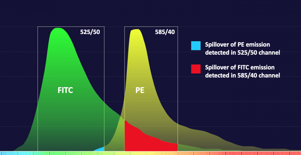 Compensation in Flow Cytometry - FluoroFinder