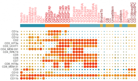 Antigen Density for Flow Cytometry - FluoroFinder