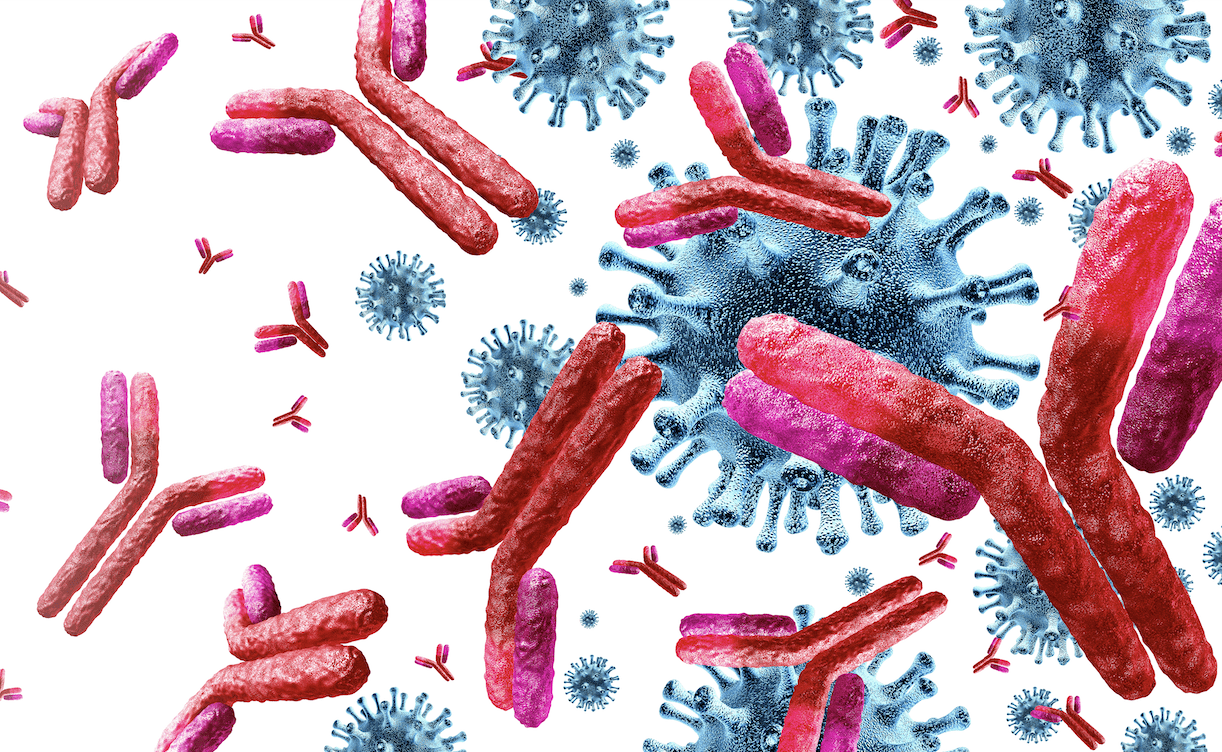 Validation of Antibodies for Flow Cytometry - FluoroFinder
