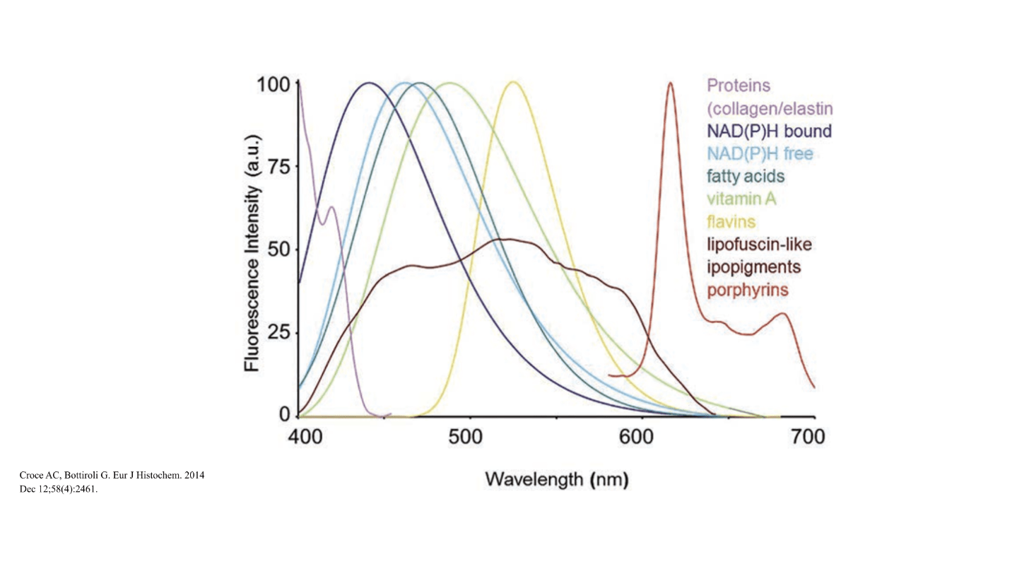 Autofluorescence in Flow Cytometry | FluoroFinder
