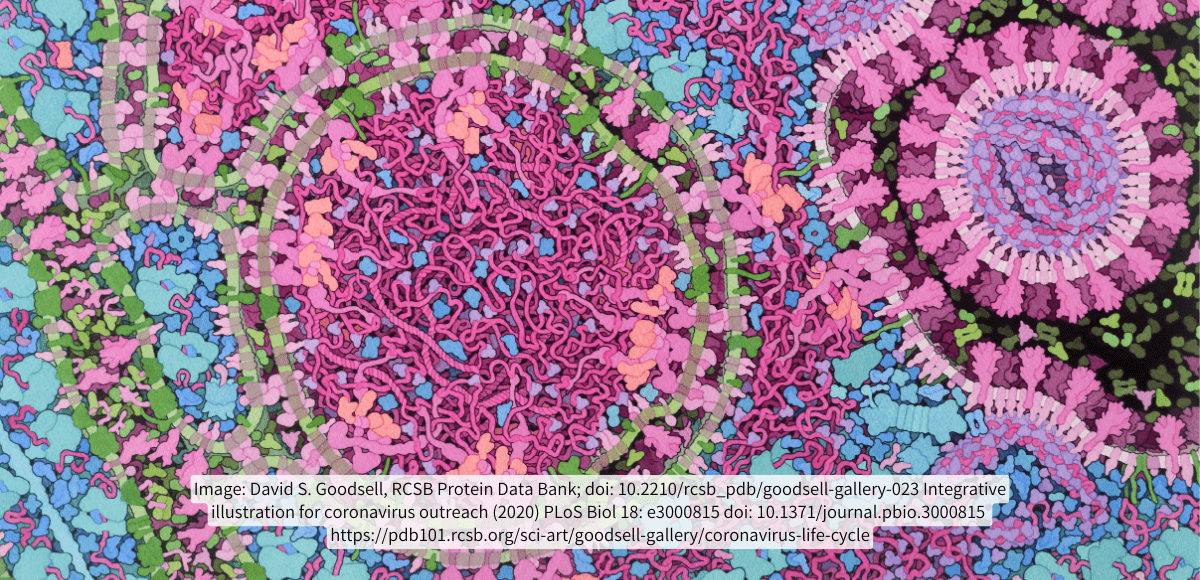 Flow Cytometry of EVs and Other Small Things | FluoroFinder