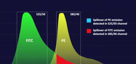 Flow Cytometry Controls